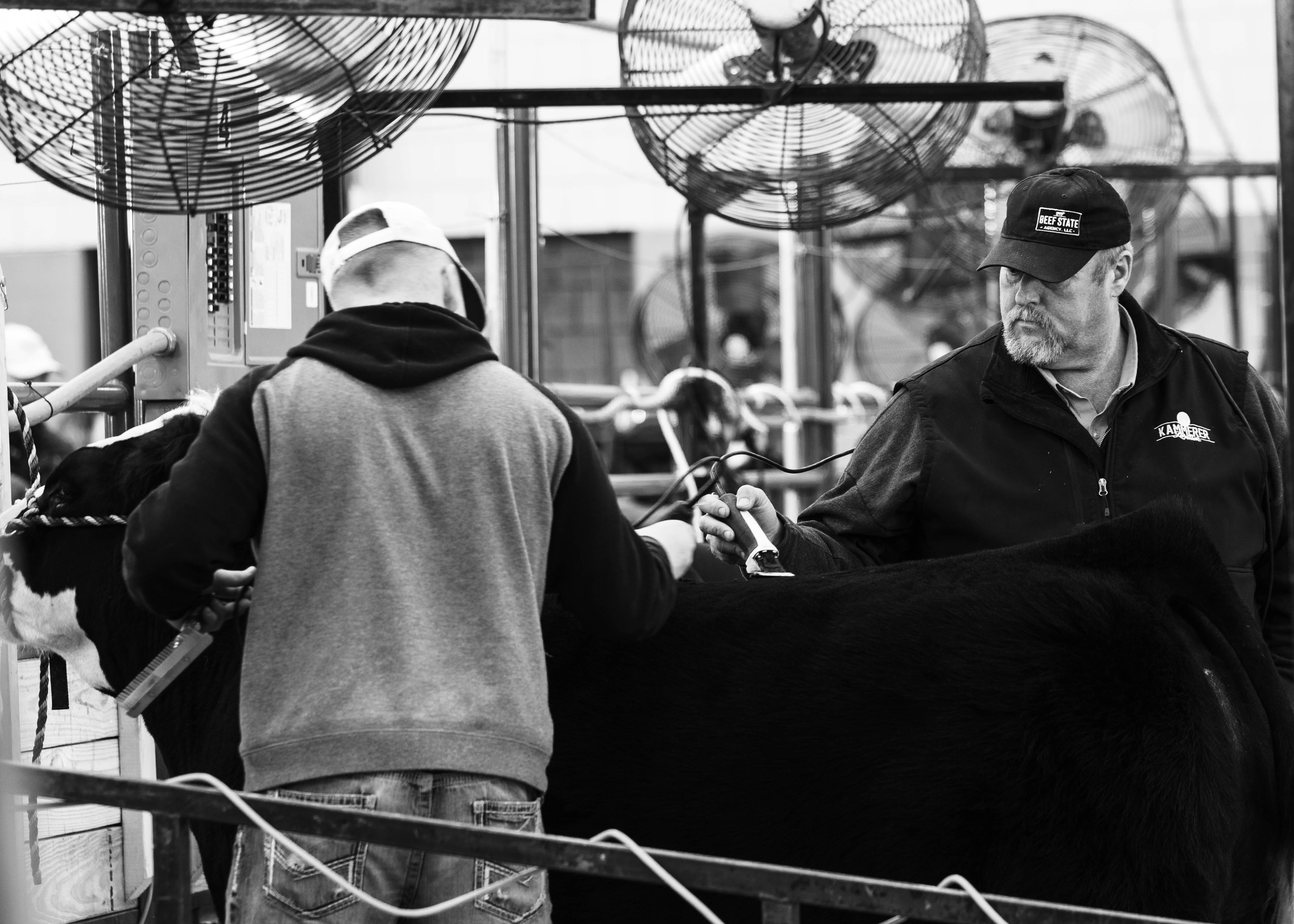 Insurance Quotes | Beef State Agency, LLC